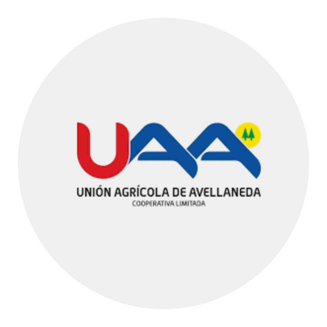 Sitio web – sitio web